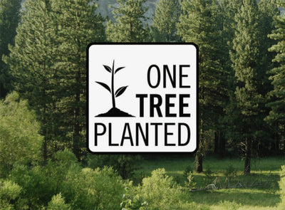 NASH - Perfectly shaved. Clean. Gentle. Affordable.